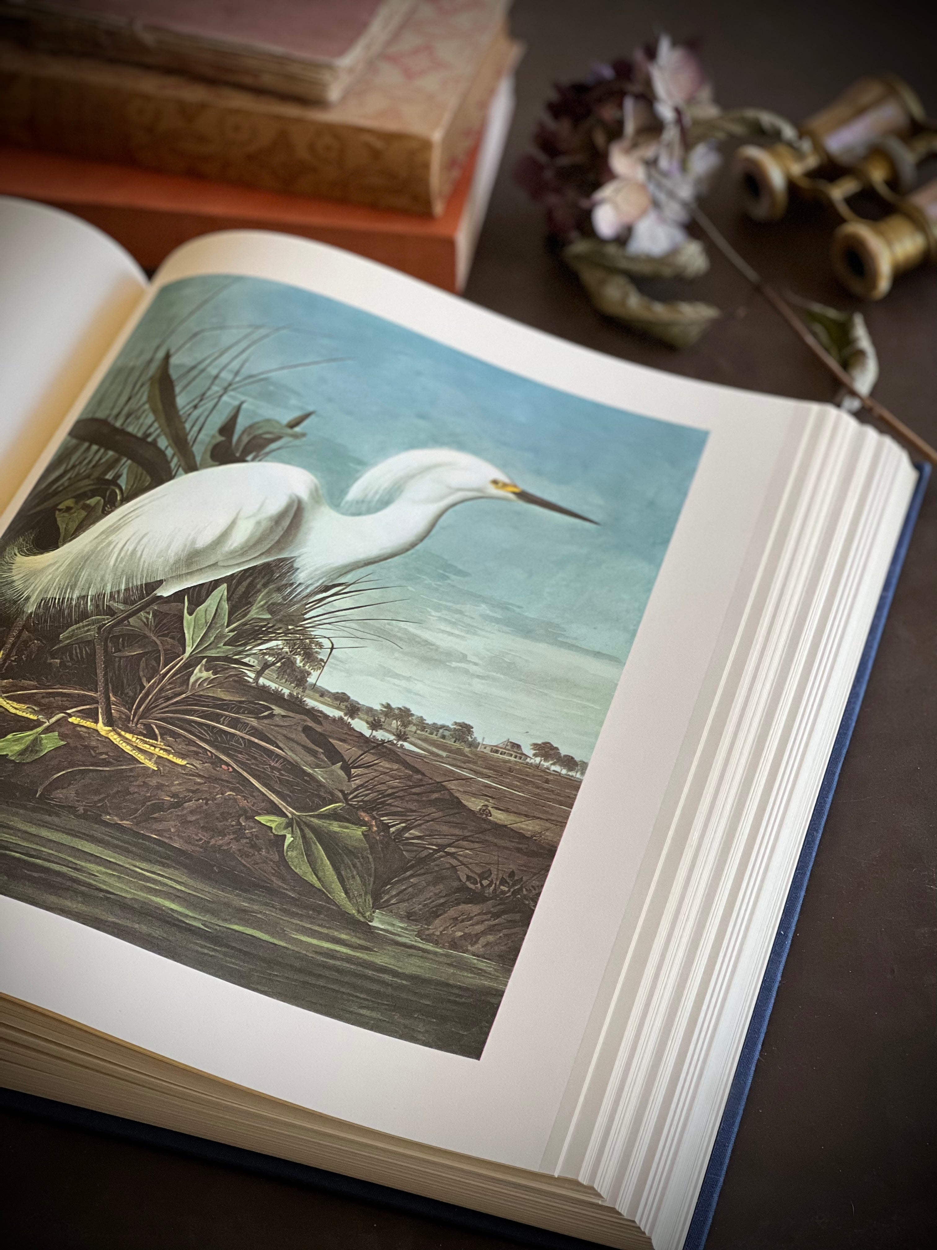 1966 - The Original Water Color Paintings By John James Audubon for Th ...