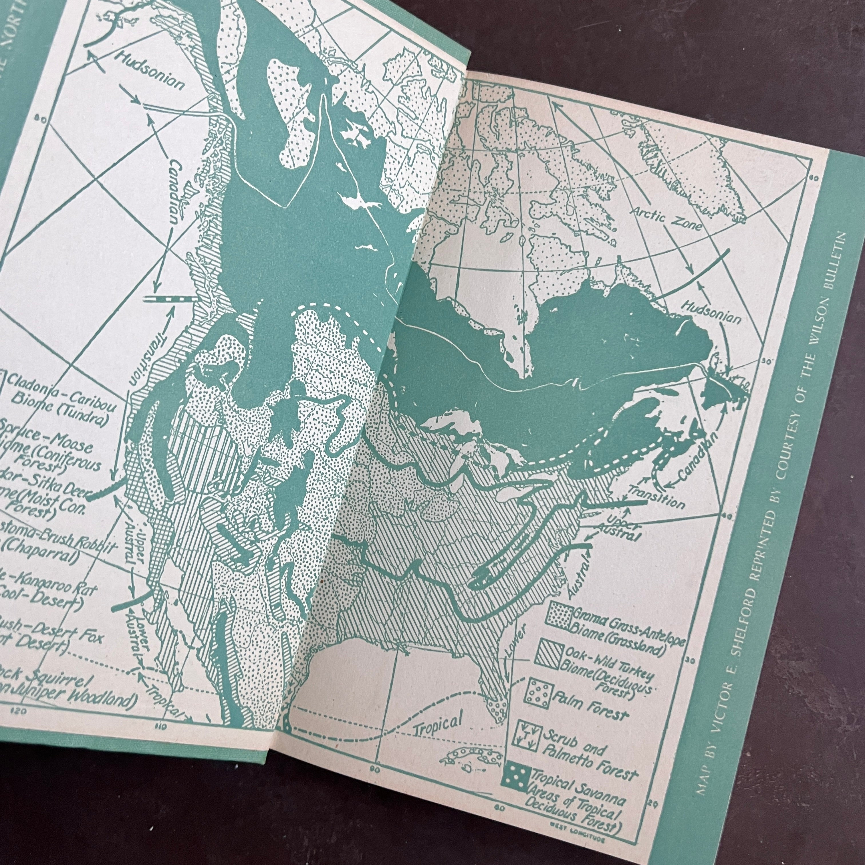 1946 - Audubon Bird Guide; Eastern Land Birds – Honey Bee Mill