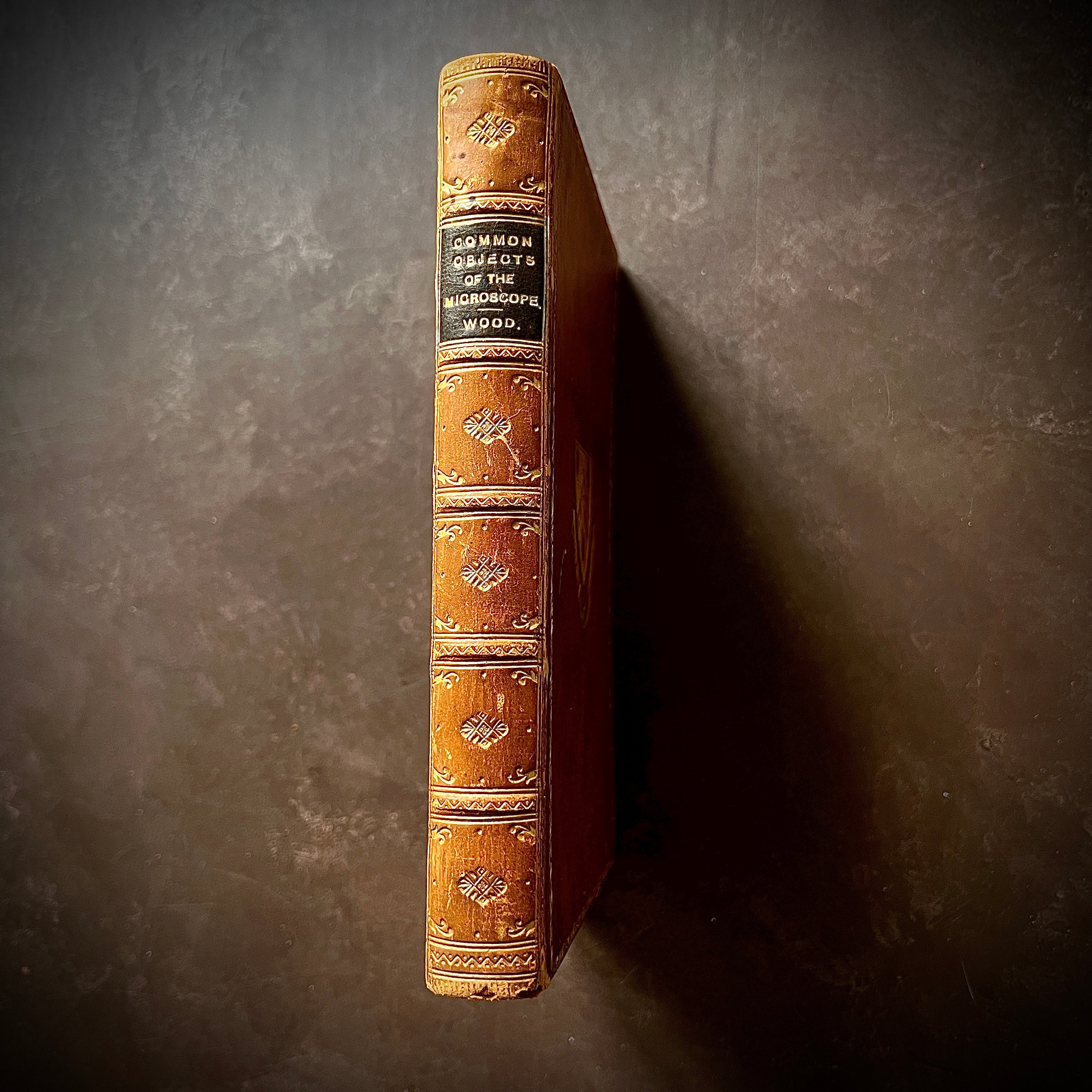 1902 - Common Objects of The Microscope – Honey Bee Mill