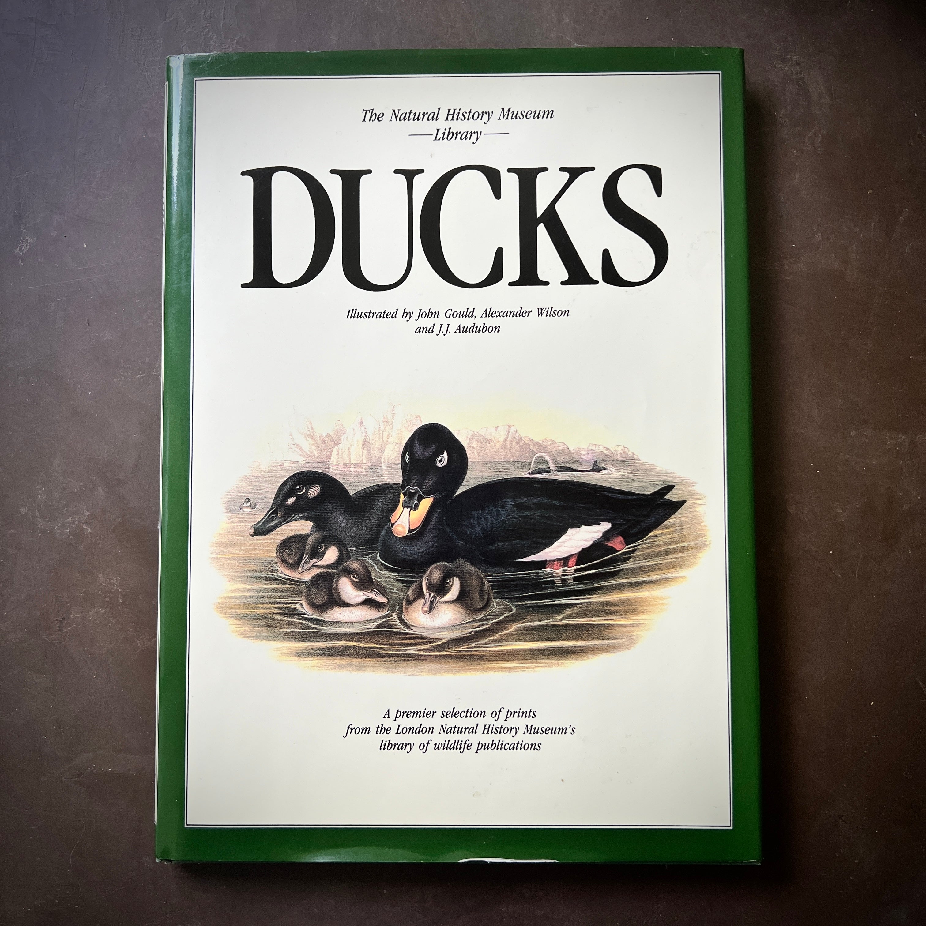 1992 - The Natural History Museum Library; Ducks – Honey Bee Mill