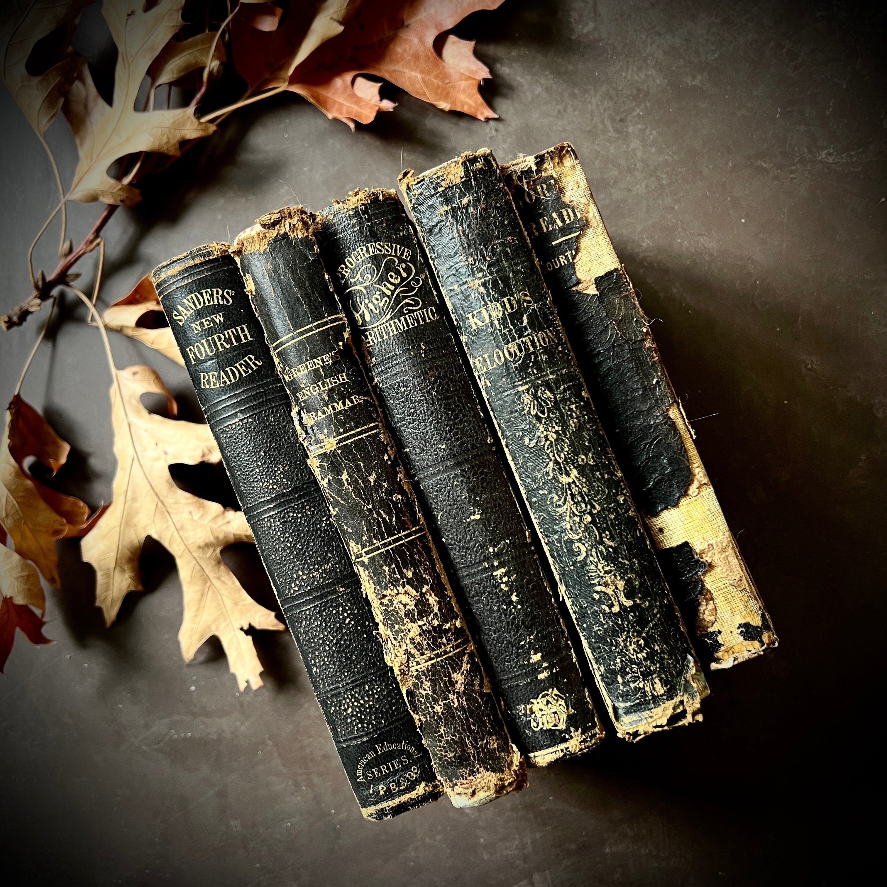 Antique Readers/Old School Books Bundle – Honey Bee Mill