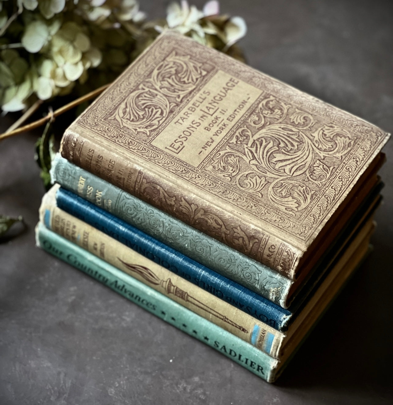 Antique & Vintage Readers/ Old Schoolbook Bundle – Honey Bee Mill
