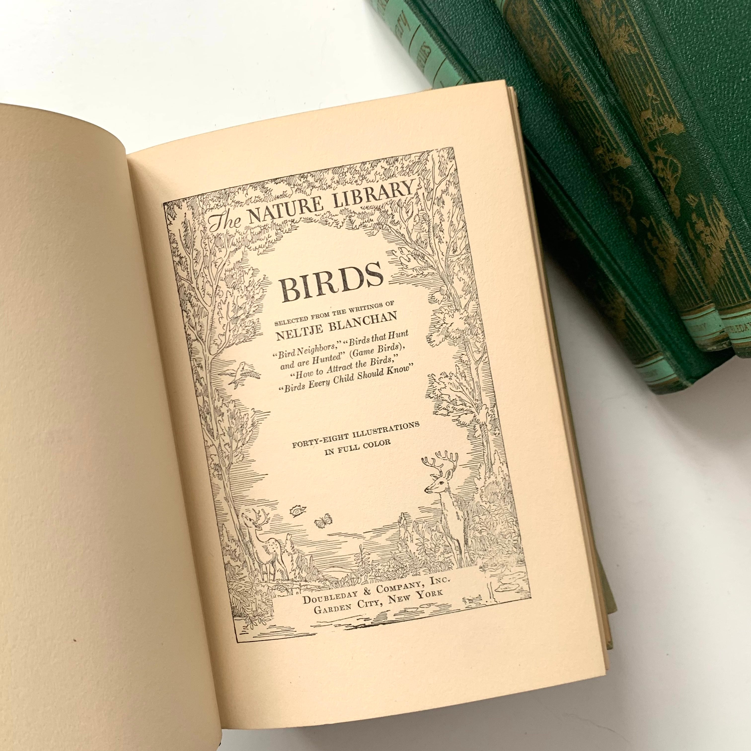 1926 - The Nature Library; Garden Flowers, Butterflies, Wild Flowers ...