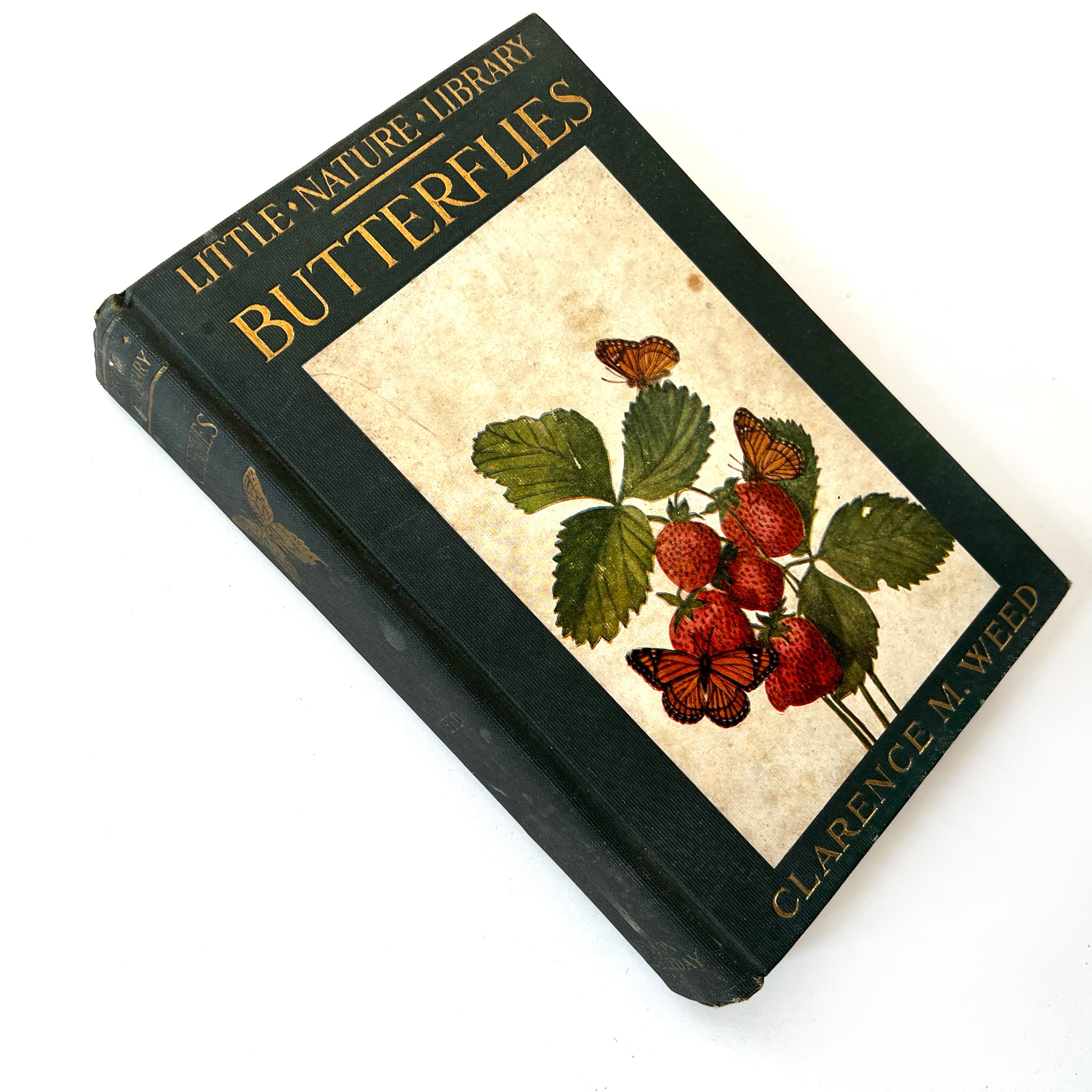 1922 - Little Nature Library; Butterflies – Honey Bee Mill