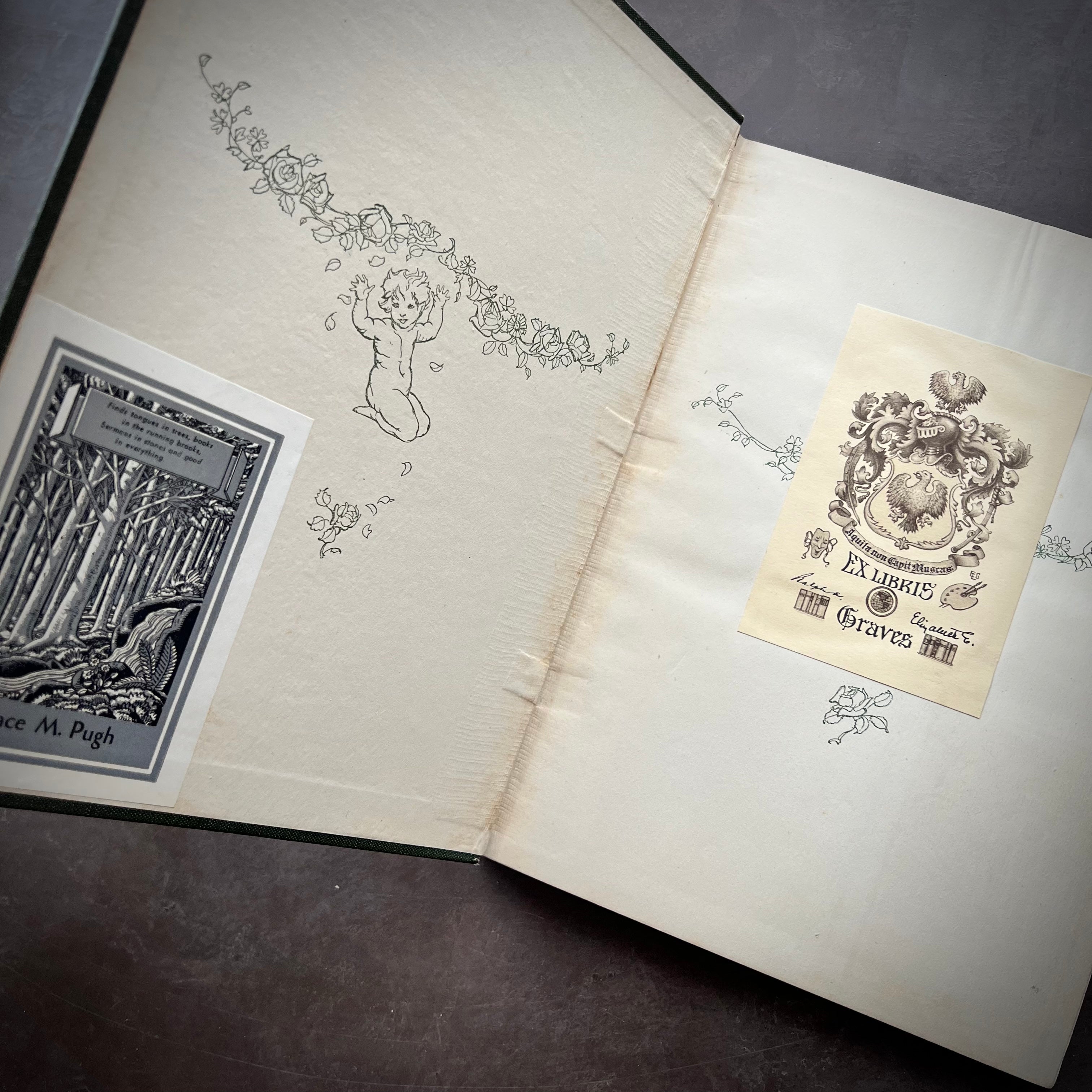 1918 - Arthur Rackham illustrated- The Springtide of Life; Poems of Ch ...