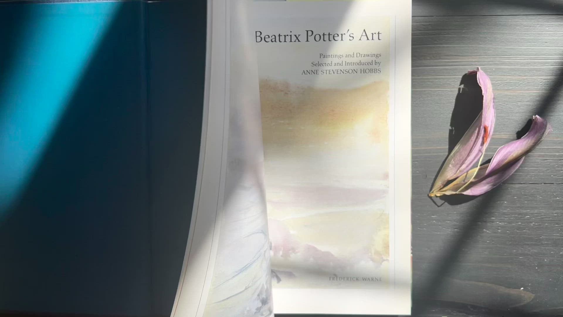 1989 - Beatrix Potter’s Art, First Edition – Honey Bee Mill